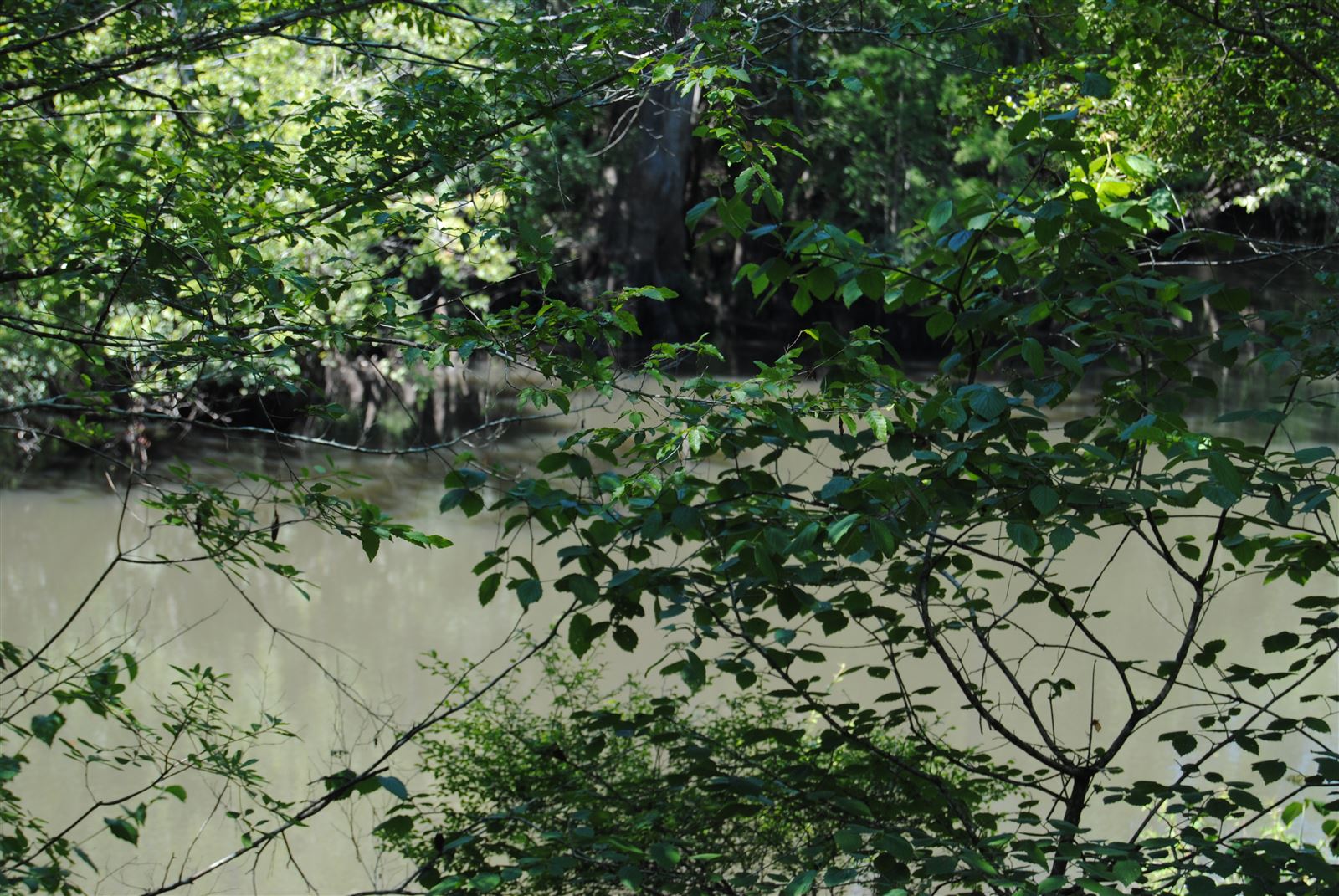 Locations Hub - Choctawhatchee River