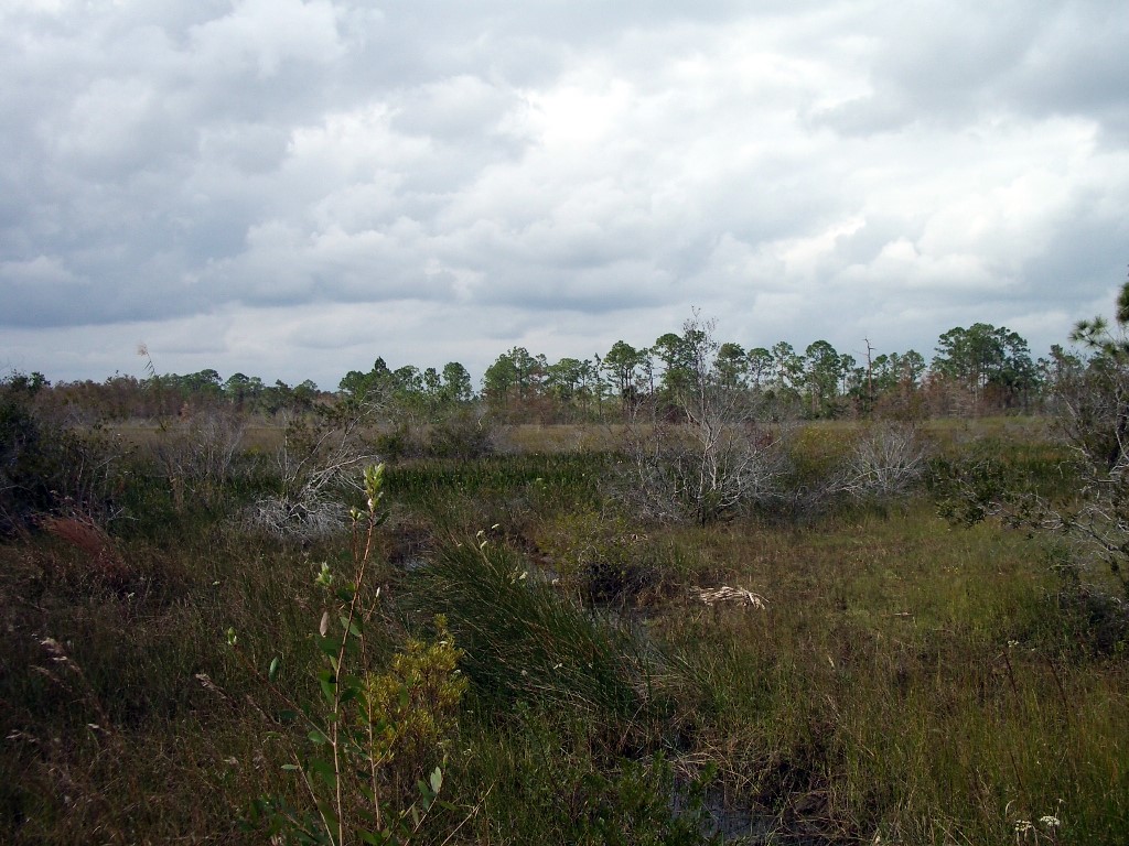 Locations Hub - JW Corbett Wildlife Management