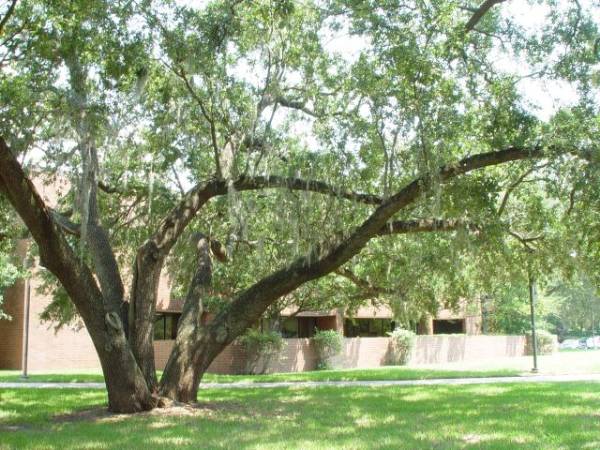 Locations Hub - Florida State College at Jacksonville (Kent Campus)