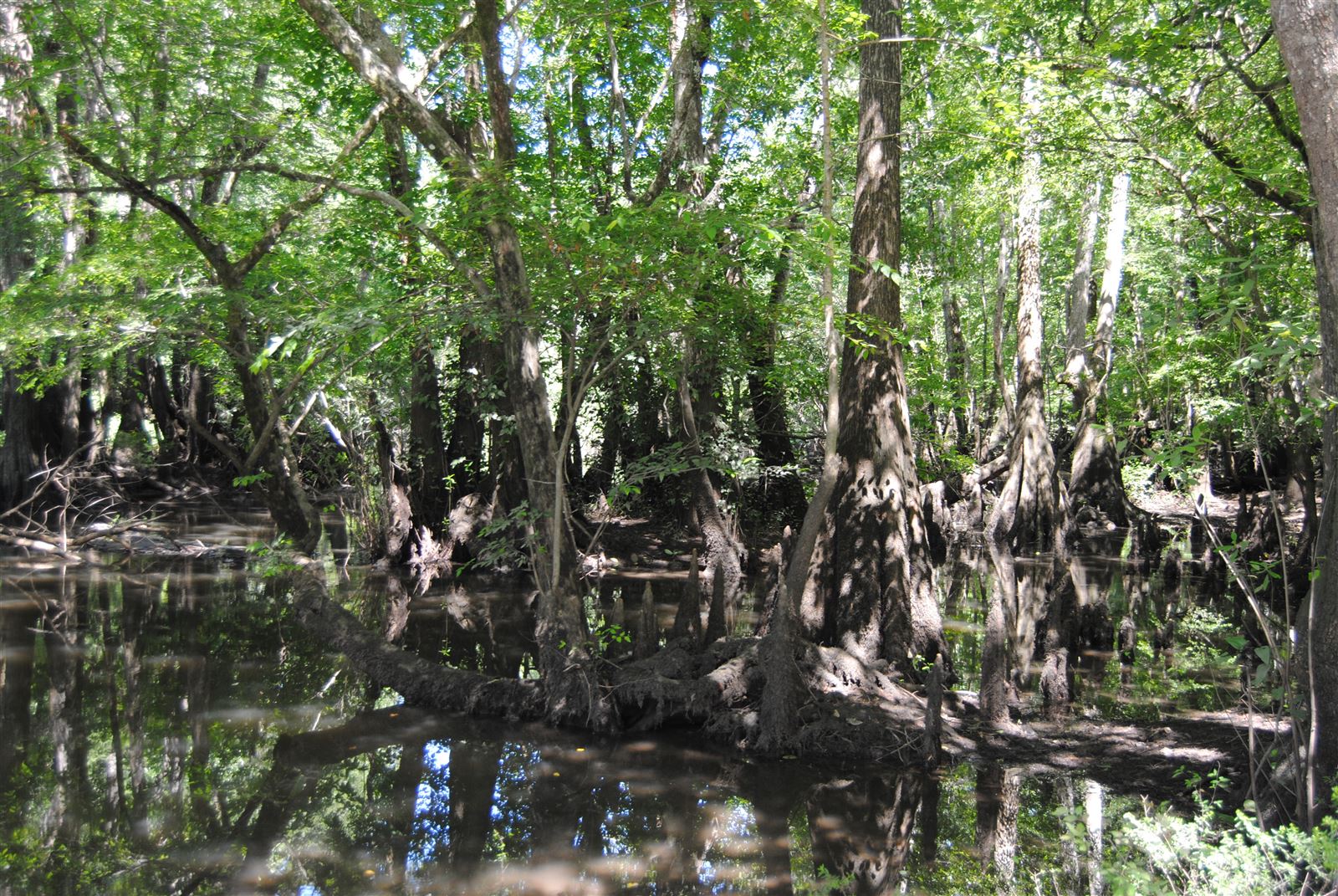 Locations Hub - Choctawhatchee River