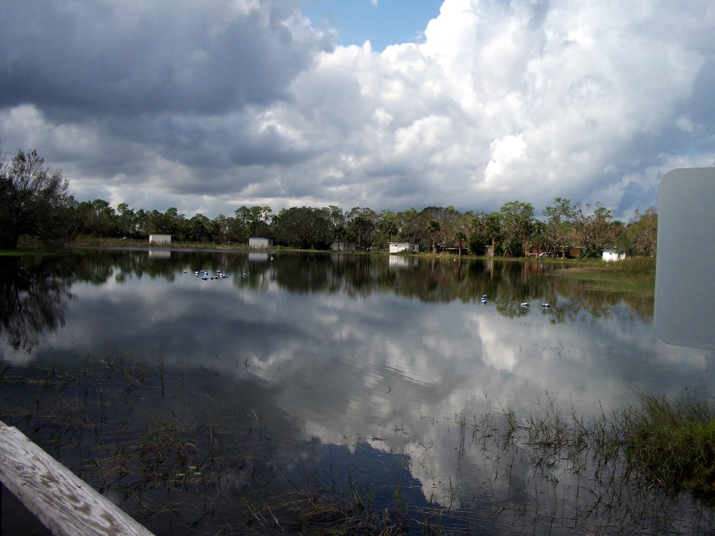 Locations Hub - JW Corbett Wildlife Management