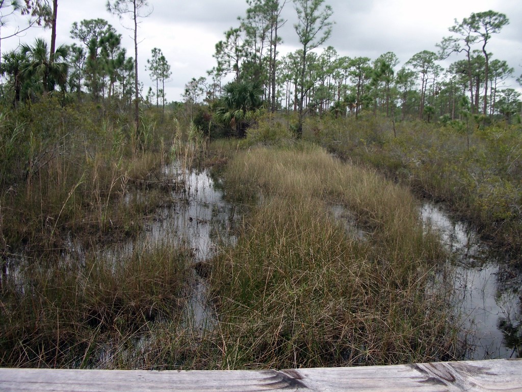 Locations Hub - JW Corbett Wildlife Management