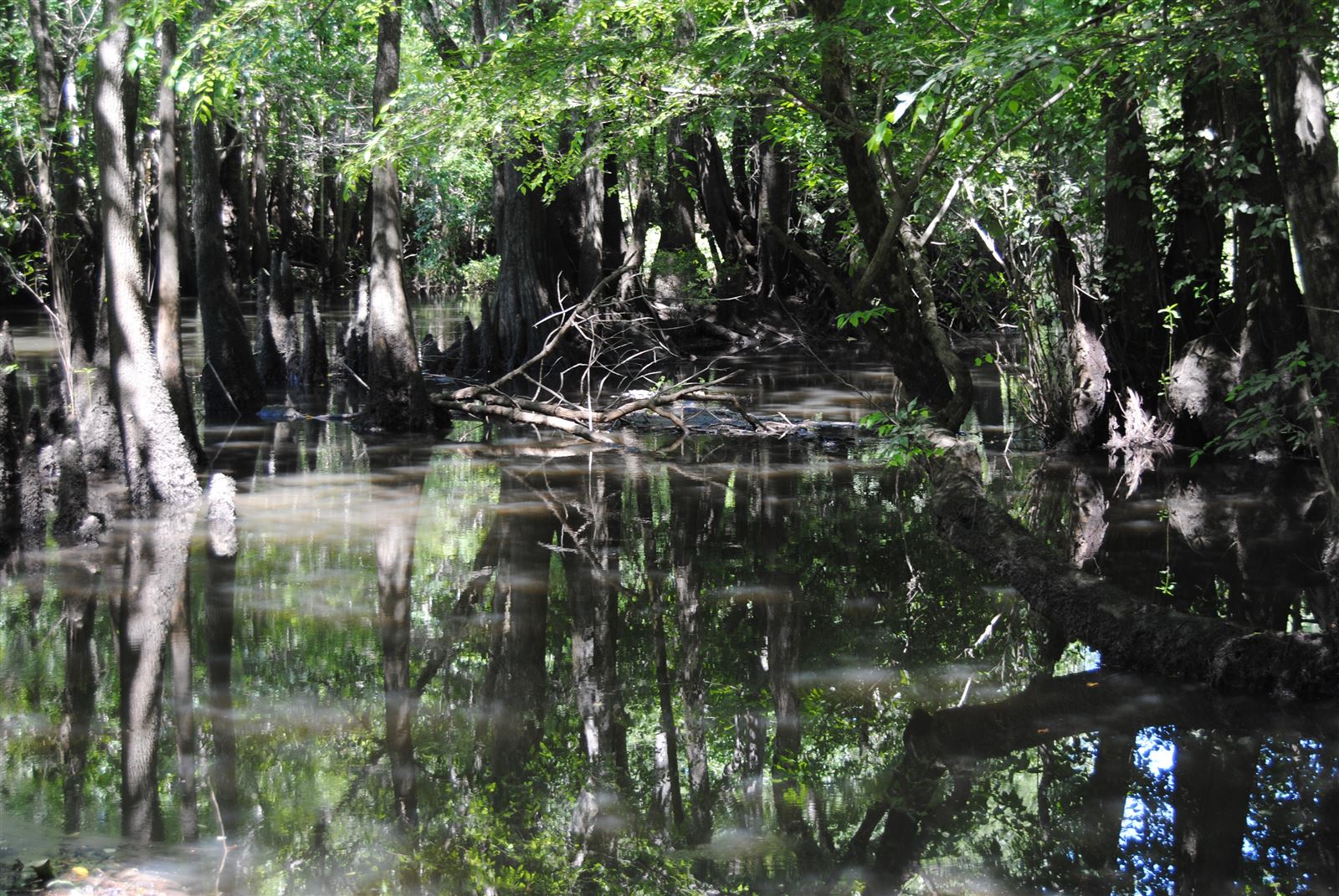Locations Hub - Choctawhatchee River