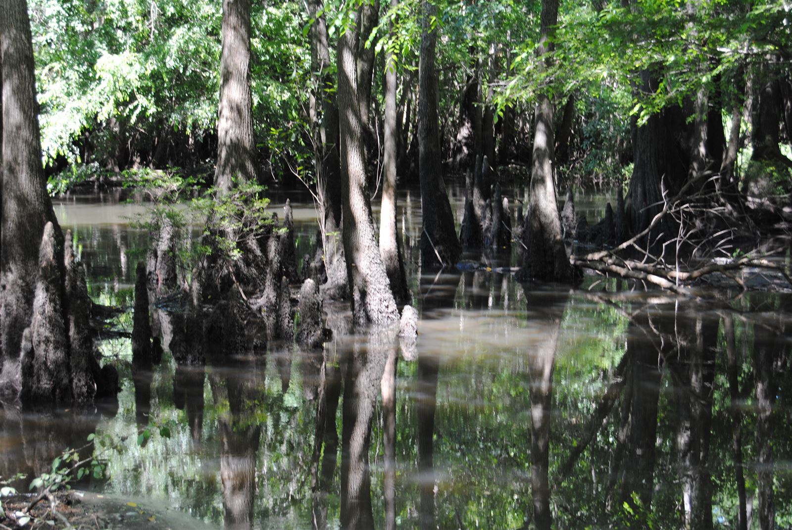 Locations Hub - Choctawhatchee River