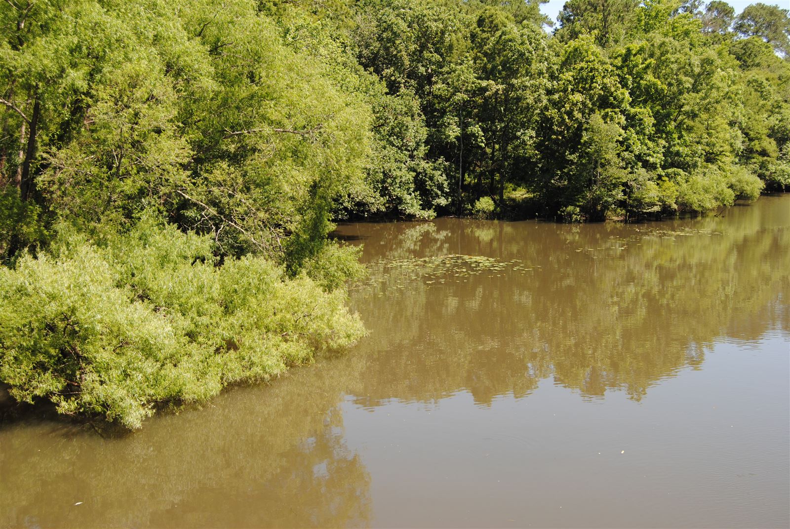 Locations Hub - Choctawhatchee River