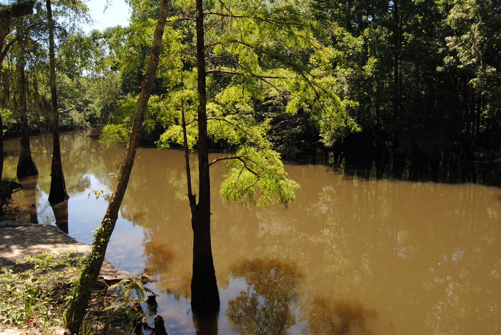Locations Hub - Choctawhatchee River