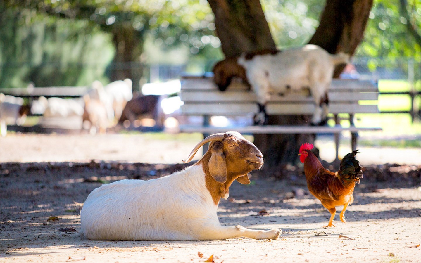 Locations Hub - Bill Graham Farm Village