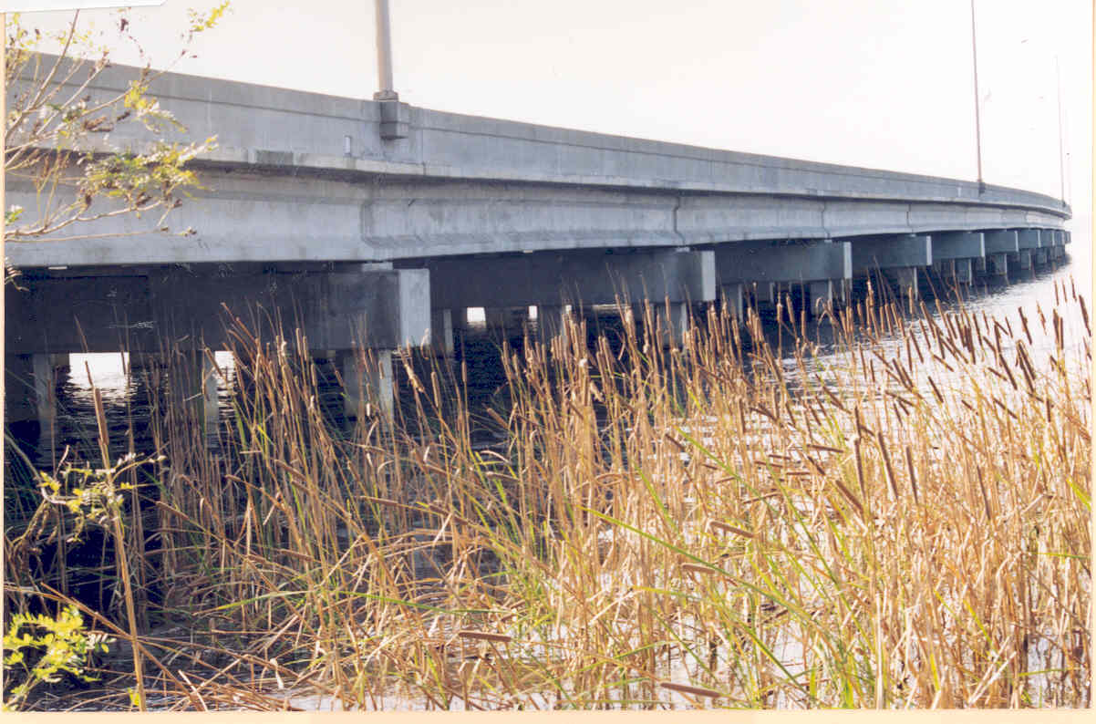 Locations Hub - Buckman Bridge