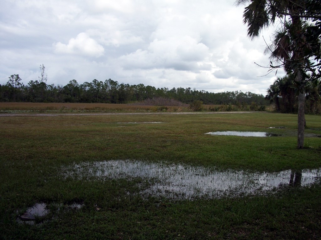 Locations Hub - JW Corbett Wildlife Management