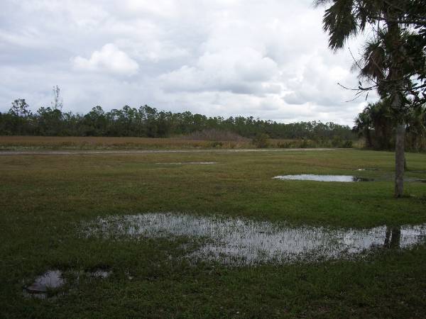 Locations Hub - JW Corbett Wildlife Management