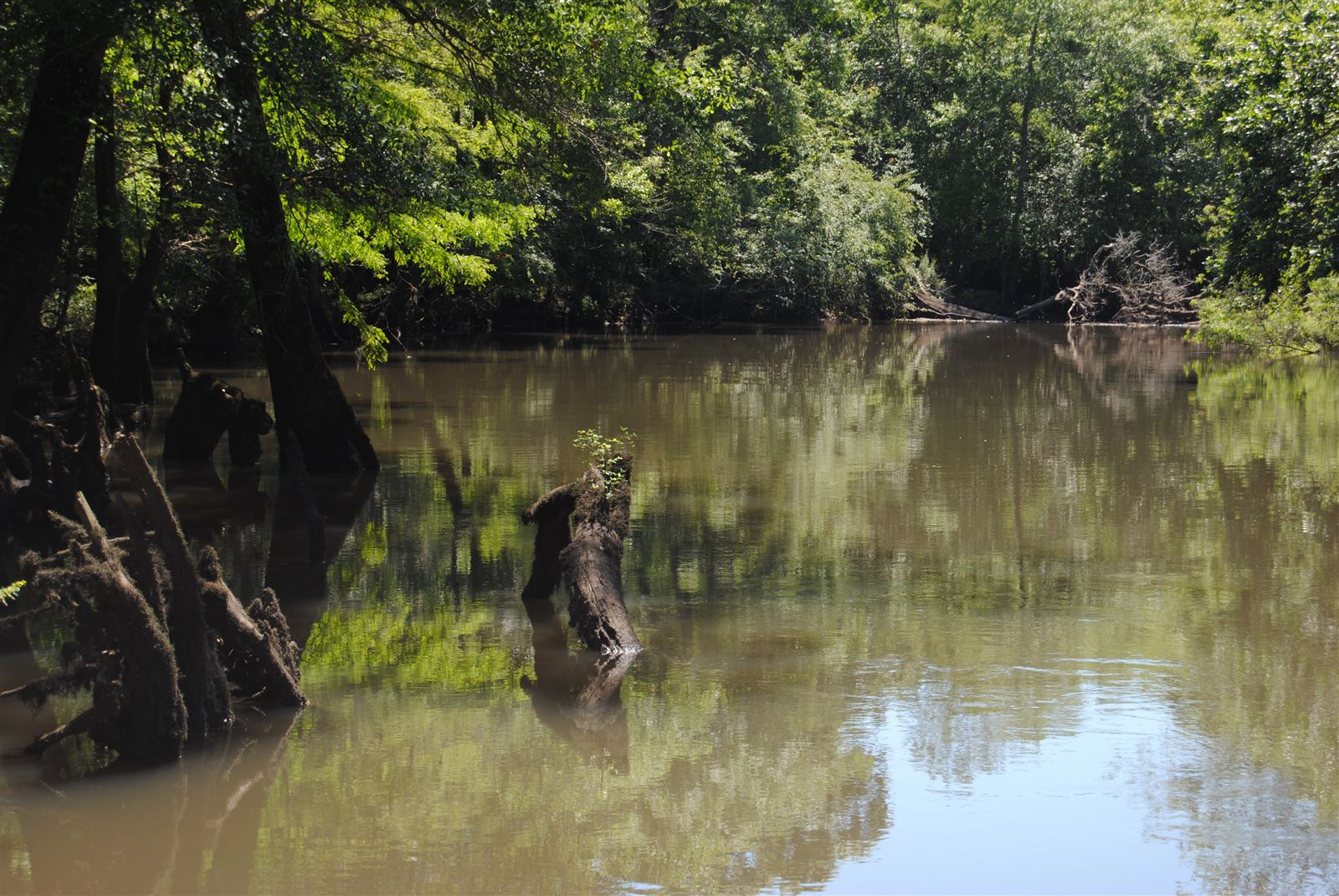 Locations Hub - Choctawhatchee River