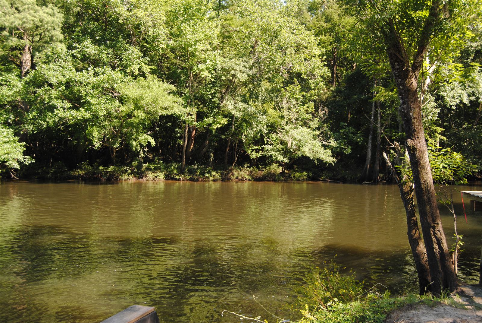 Locations Hub - Choctawhatchee River