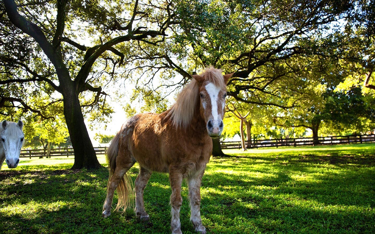 Locations Hub - Bill Graham Farm Village