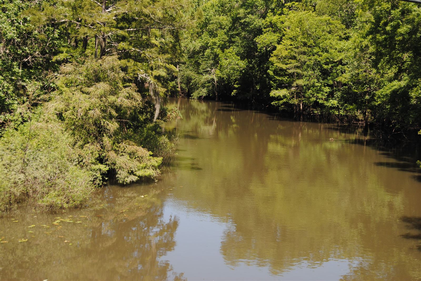 Locations Hub - Choctawhatchee River