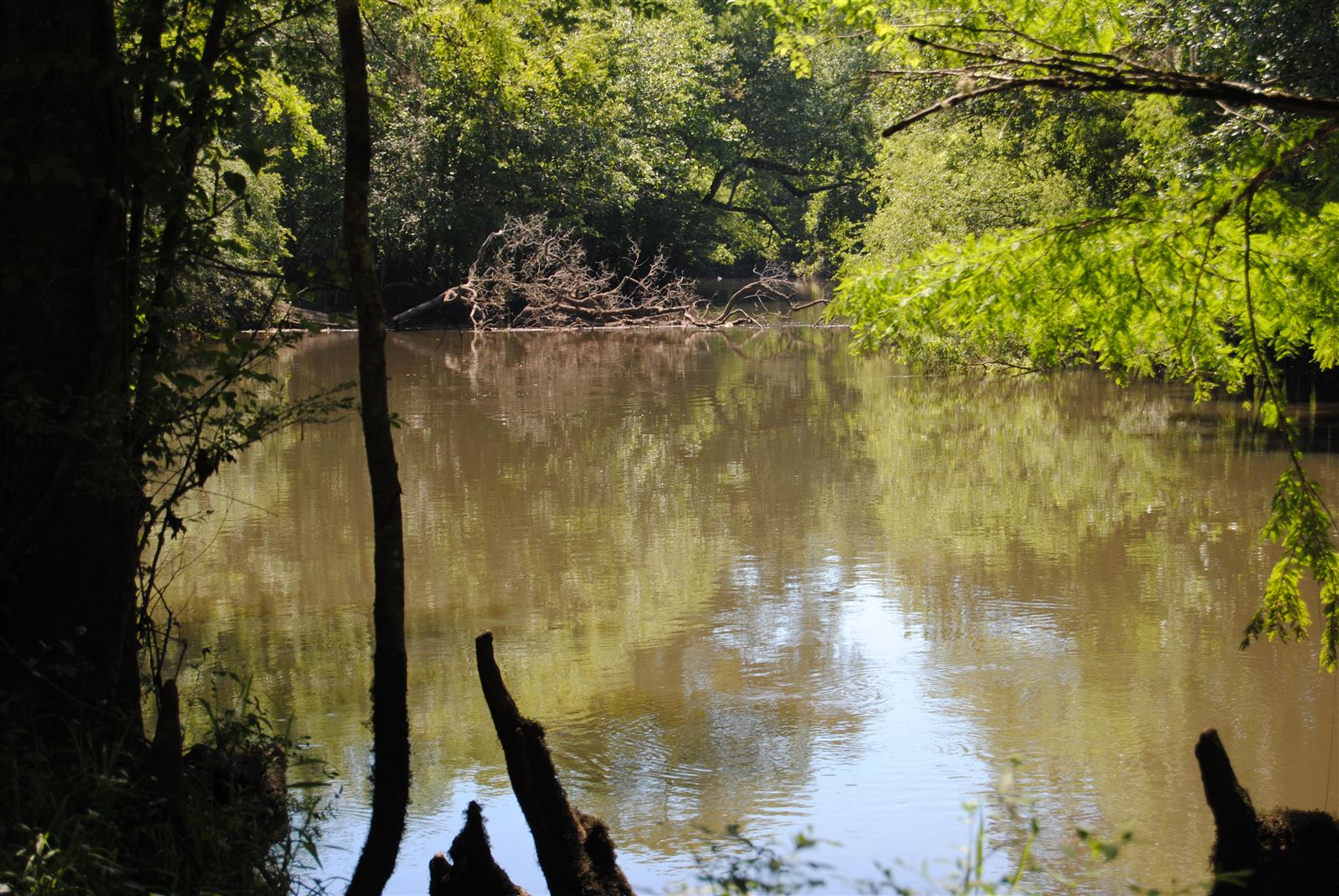 Locations Hub - Choctawhatchee River