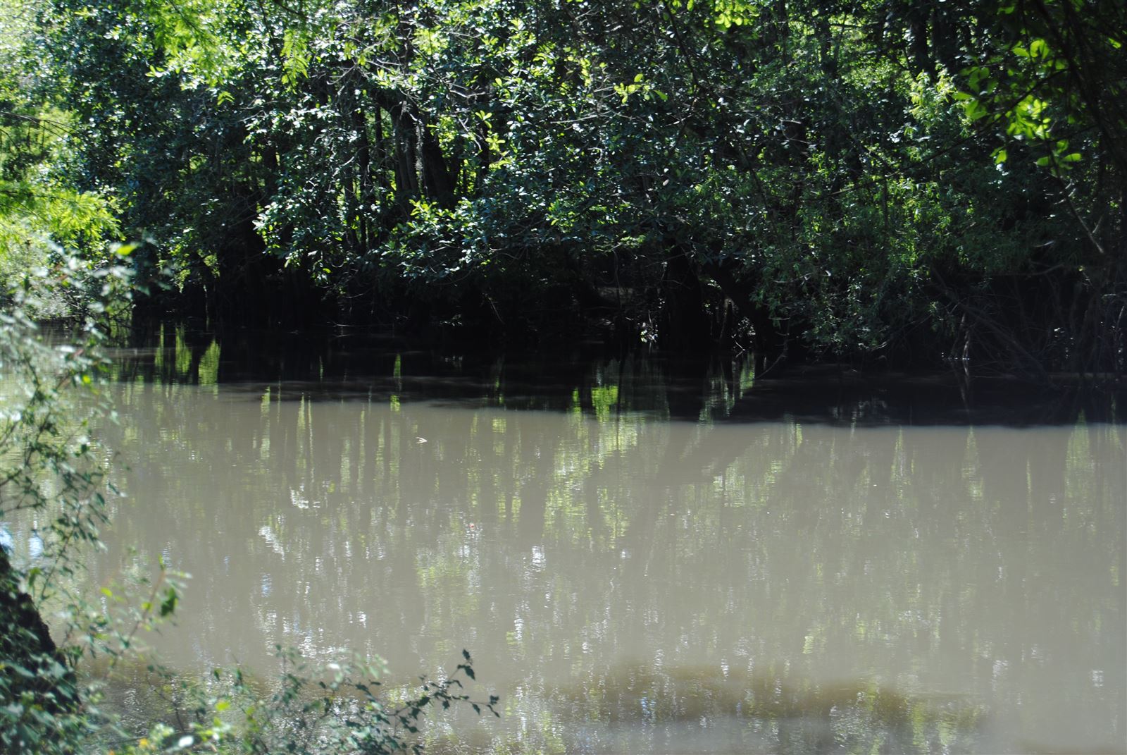 Locations Hub - Choctawhatchee River