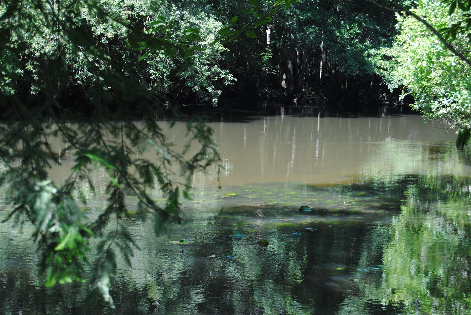 Locations Hub - Choctawhatchee River