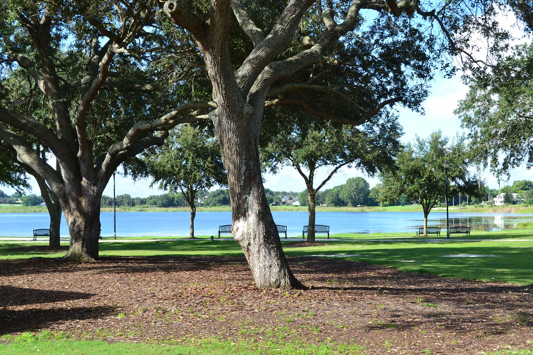 Locations Hub - Lake Eva Park