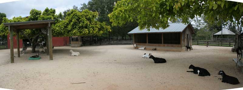 Locations Hub - Bill Graham Farm Village