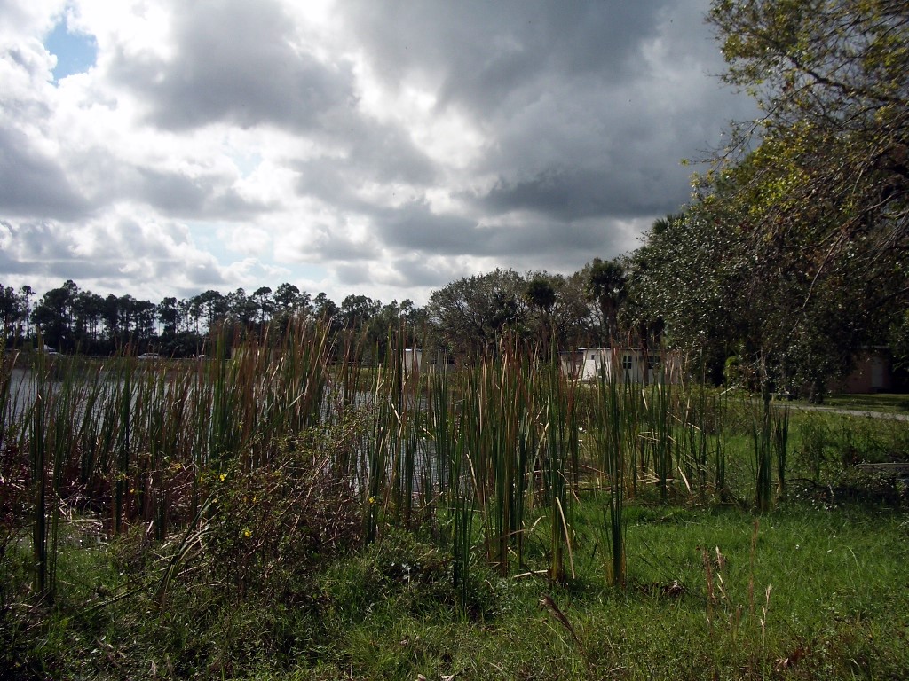 Locations Hub - JW Corbett Wildlife Management