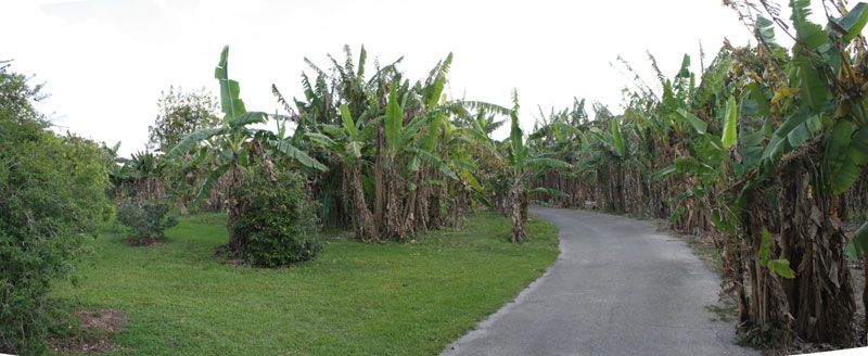 Locations Hub - Fruit & Spice Park