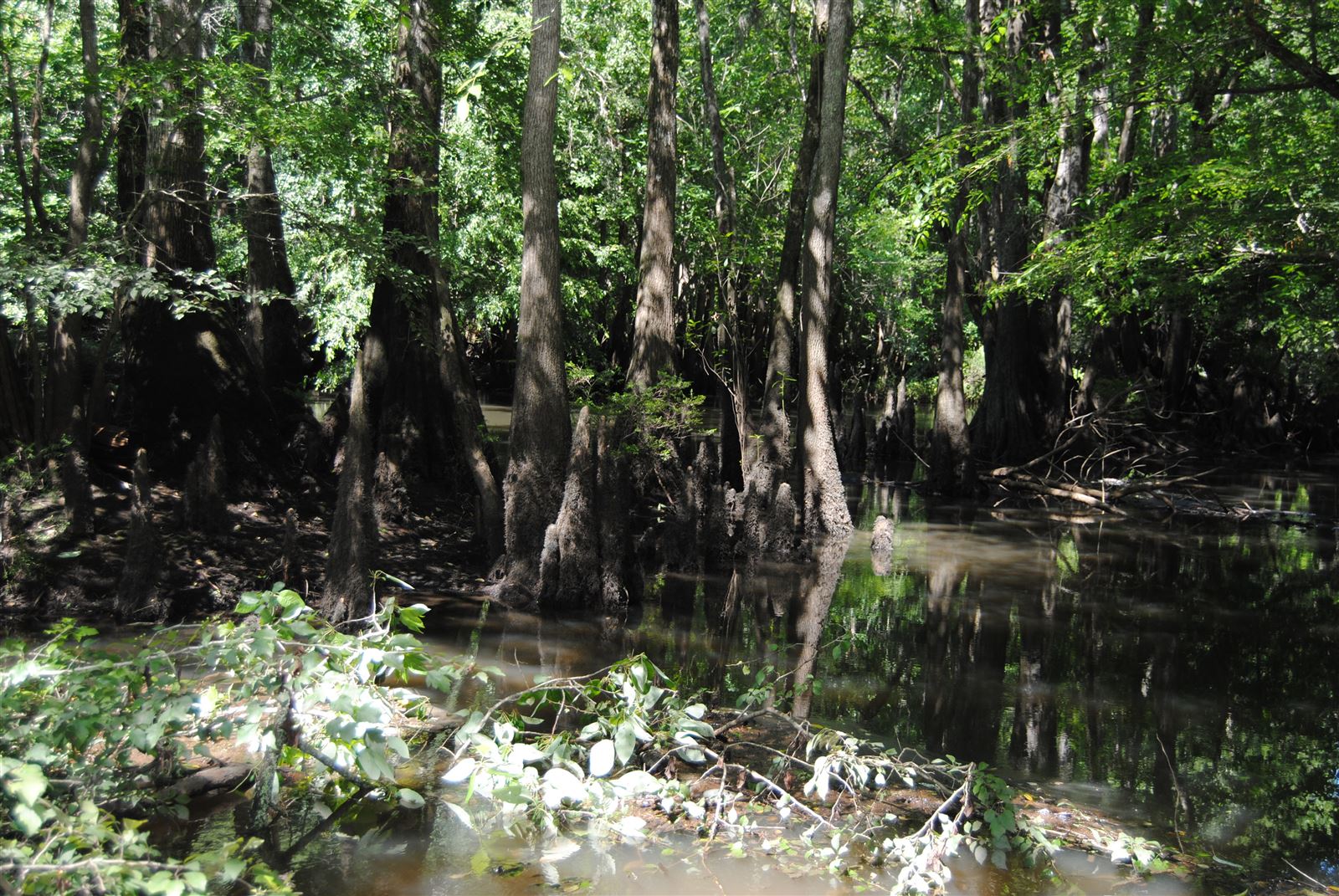 Locations Hub - Choctawhatchee River