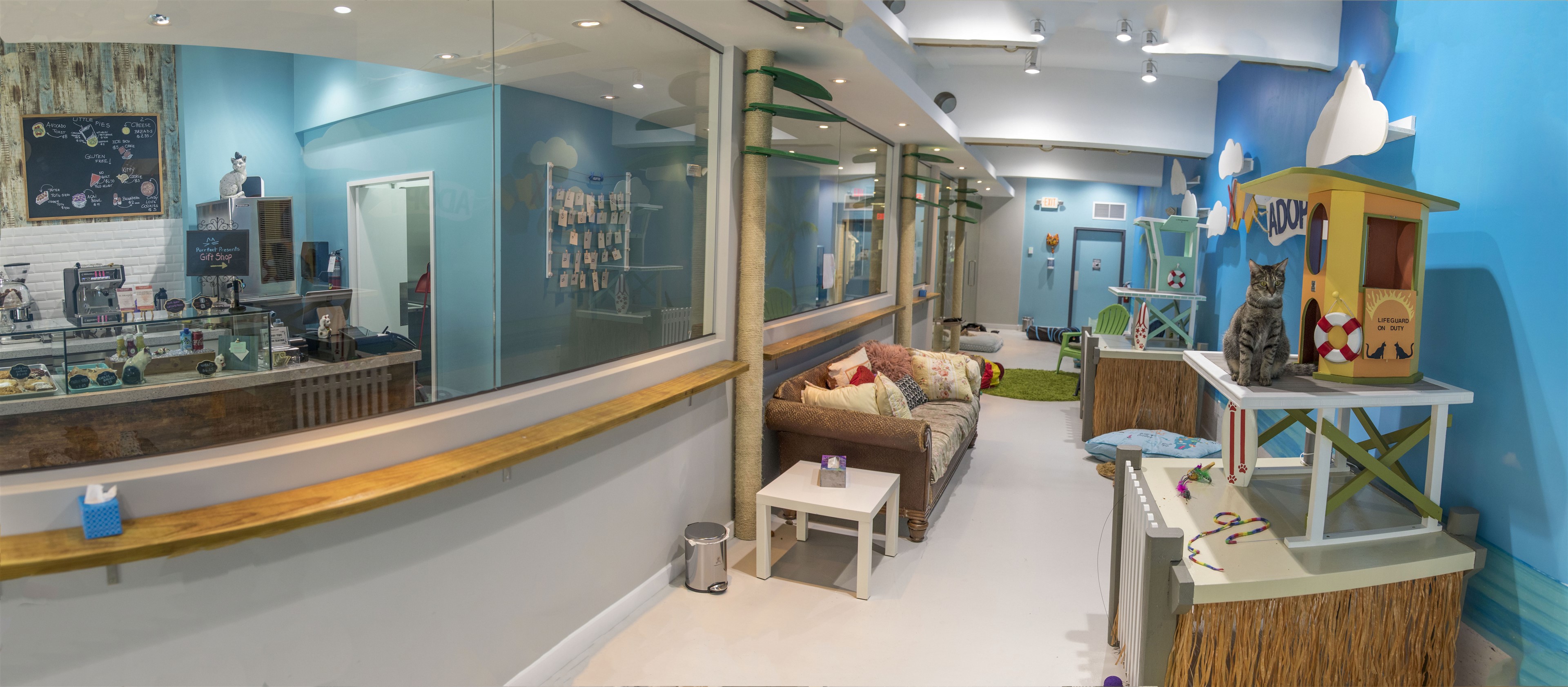Locations Hub - Cat Café South Beach
