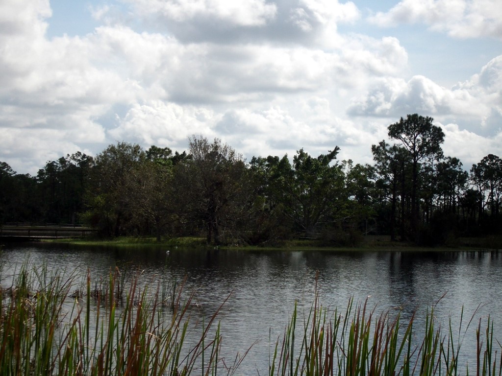 Locations Hub - JW Corbett Wildlife Management