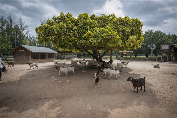 Locations Hub - Bill Graham Farm Village