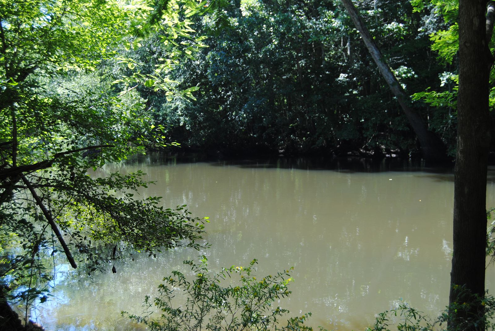 Locations Hub - Choctawhatchee River