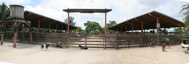 Locations Hub - Bill Graham Farm Village