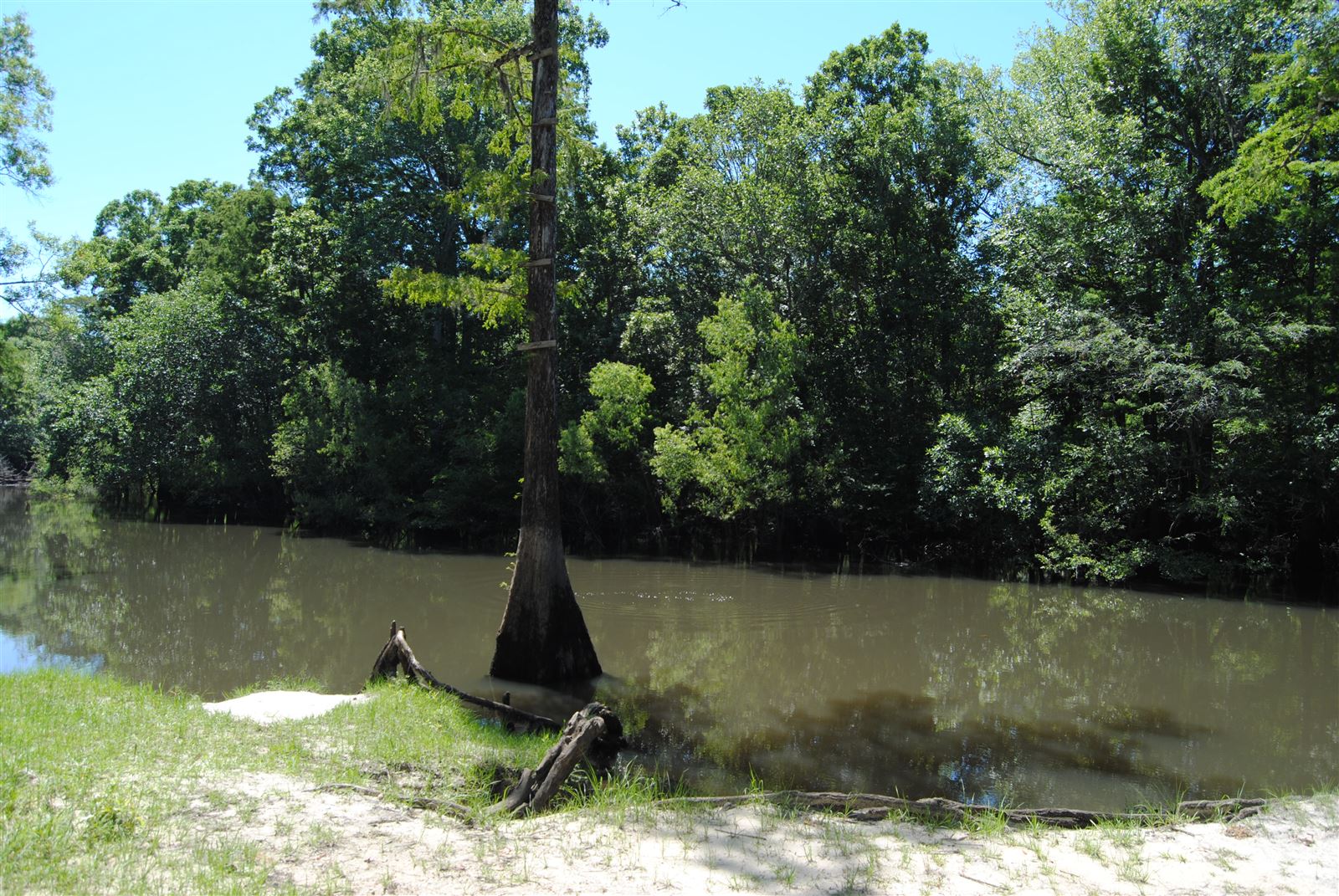 Locations Hub - Choctawhatchee River