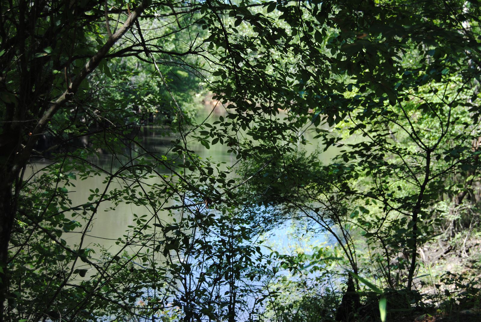 Locations Hub - Choctawhatchee River